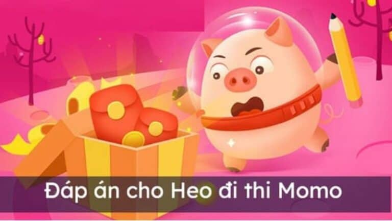 Đáp án Momo hôm nay - Đáp án cho heo đi học mới nhất